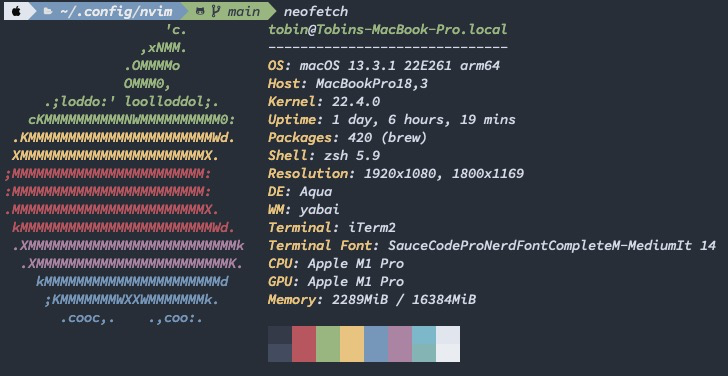 GitHub - TobinPalmer/dots