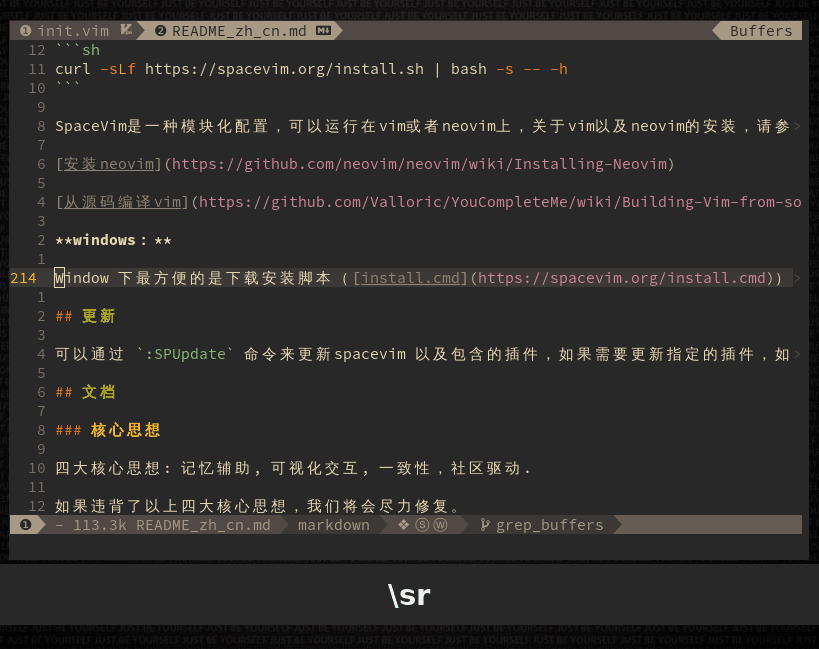 screenshorts · Issue #67 · wsdjeg/.SpaceVim.d · GitHub