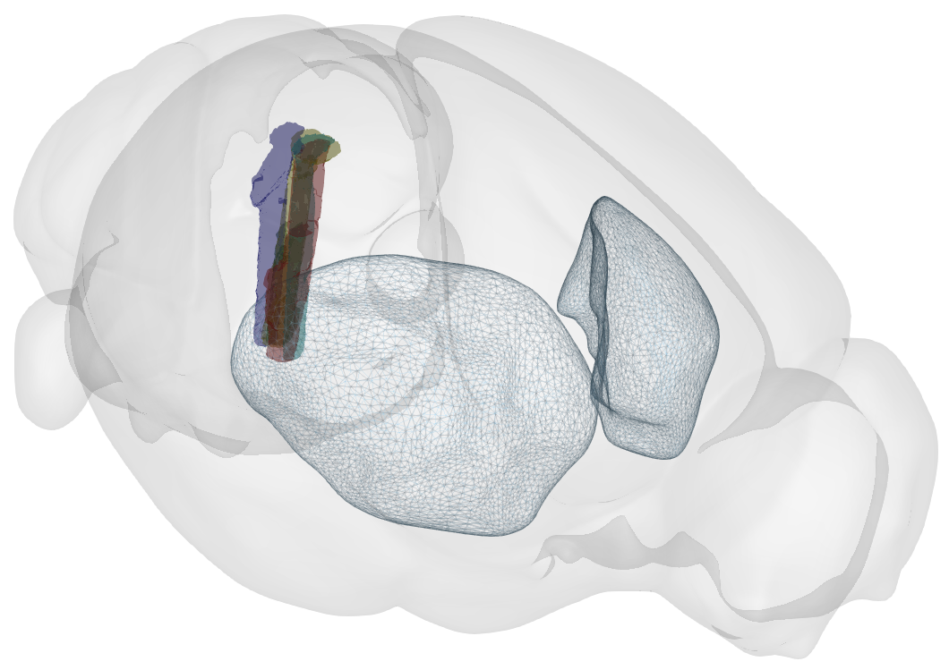 [BUG]error message with reverse transformation in 'cellfinder_cell_standard' · Issue #108 ...