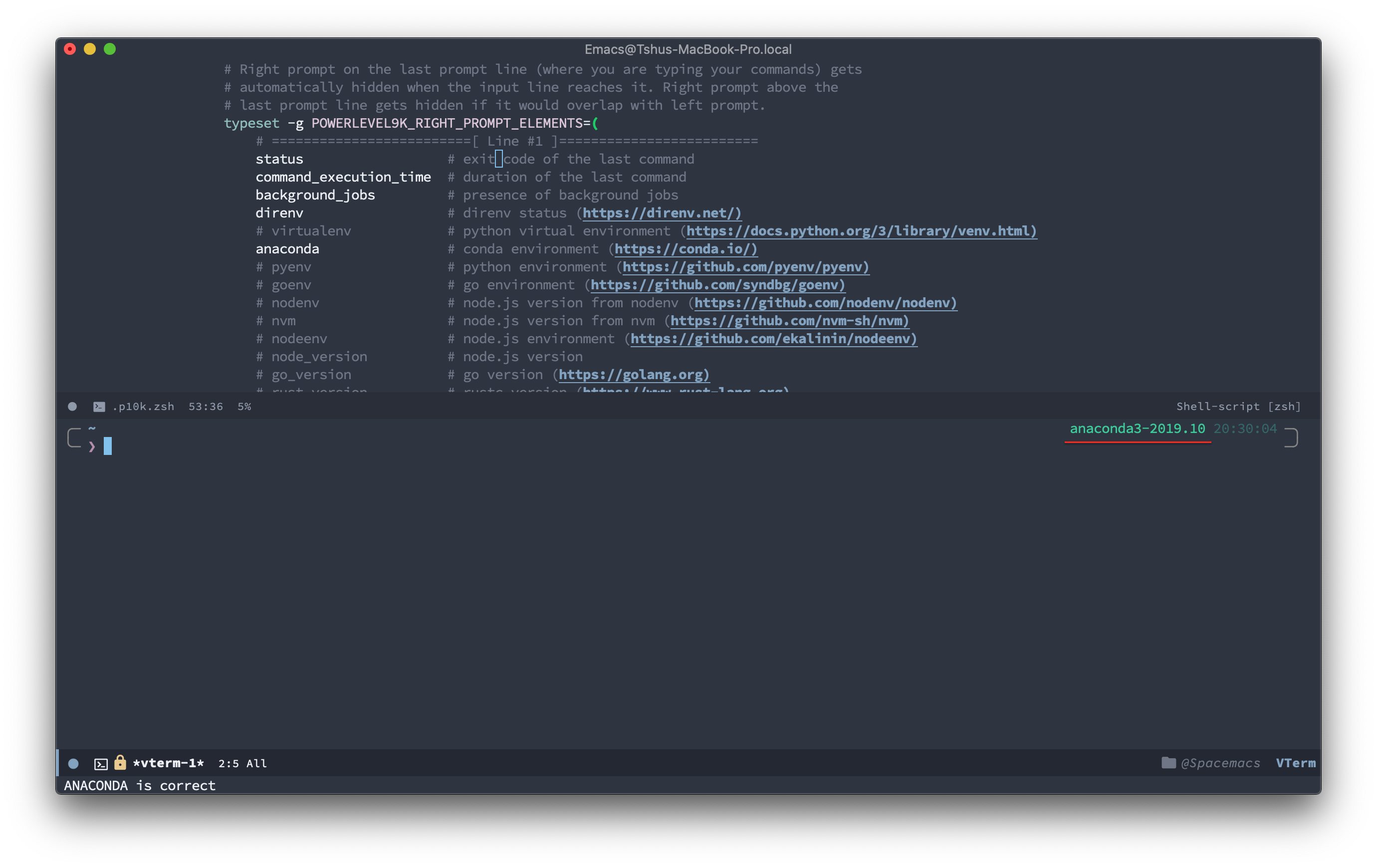 anaconda-prompt-appears-without-activated-in-libvterm-issue-486