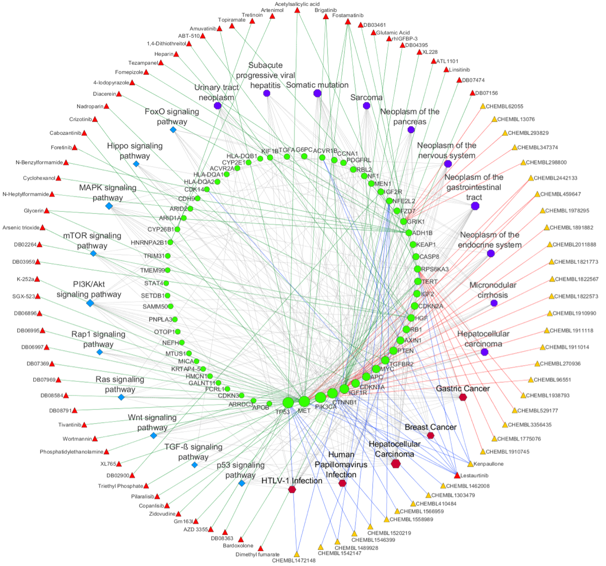 GitHub - AspirinCode/CROssBAR-Networks: Comprehensive Resource of Biomedical Relations with Deep ...