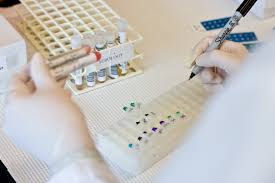 Options in a Worksheet · Issue #26 · jlord/sheetsee.js · GitHub