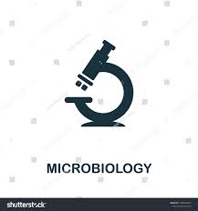 Options in a Worksheet · Issue #26 · jlord/sheetsee.js · GitHub