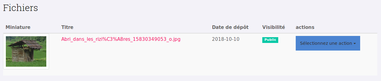 Bad Handling Of Accented Characters In File Names · Issue 3324 · Samverahyrax · Github