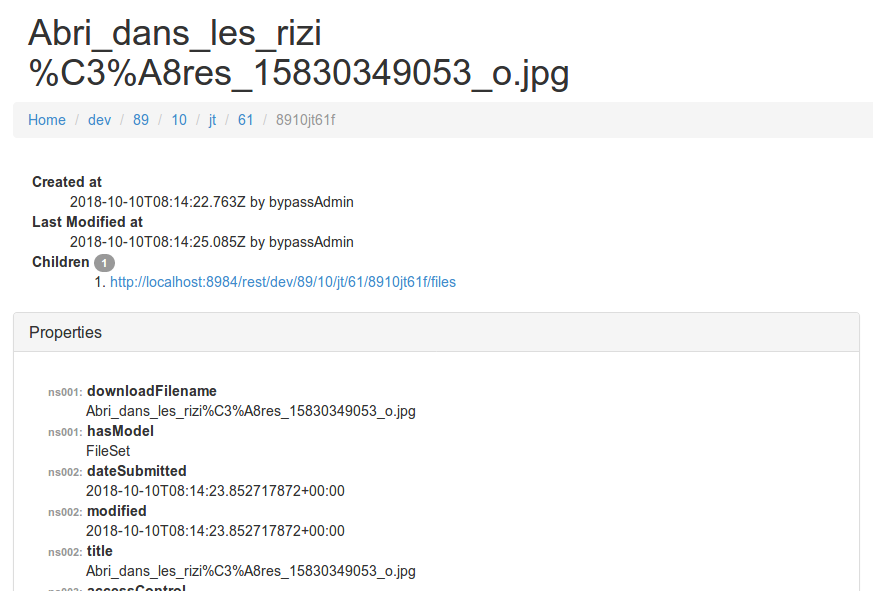 Bad Handling Of Accented Characters In File Names · Issue 3324 · Samverahyrax · Github