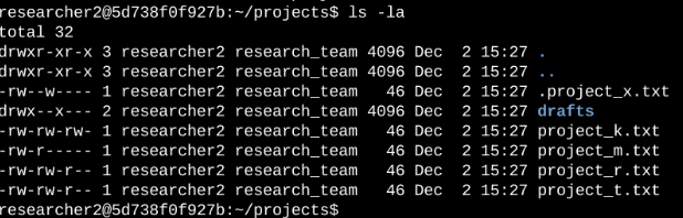 GitHub - DeJuvn/File-Permissions-In-Linux