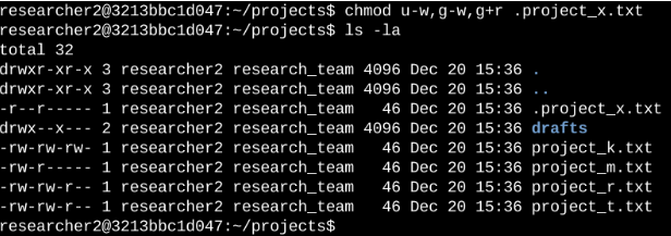 GitHub - DeJuvn/File-Permissions-In-Linux