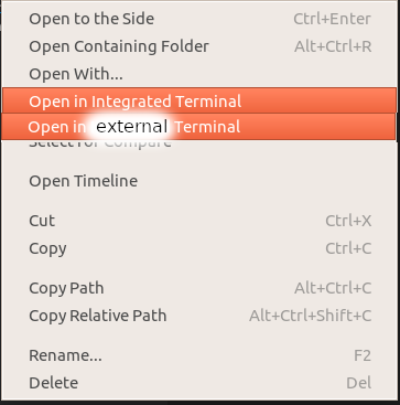 Should be able to open both integrated terminal and external terminal ...