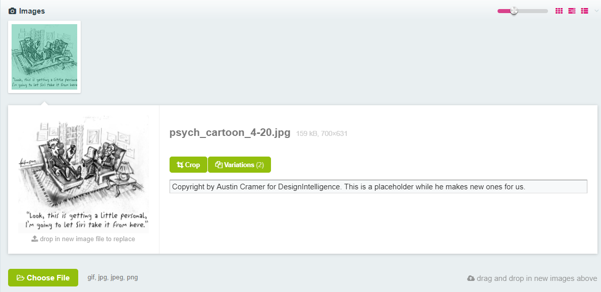 Image replacement doesn't work · Issue #330 · processwire/processwire-issues · GitHub