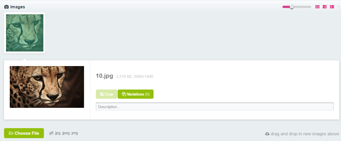Image replacement doesn't work · Issue #330 · processwire/processwire-issues · GitHub
