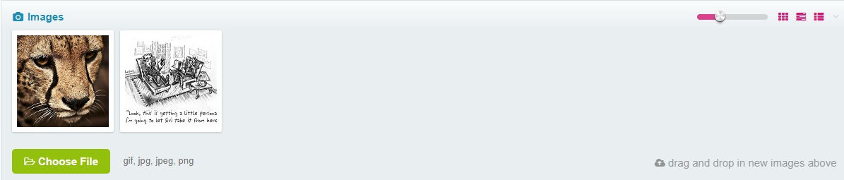 Image replacement doesn't work · Issue #330 · processwire/processwire-issues · GitHub
