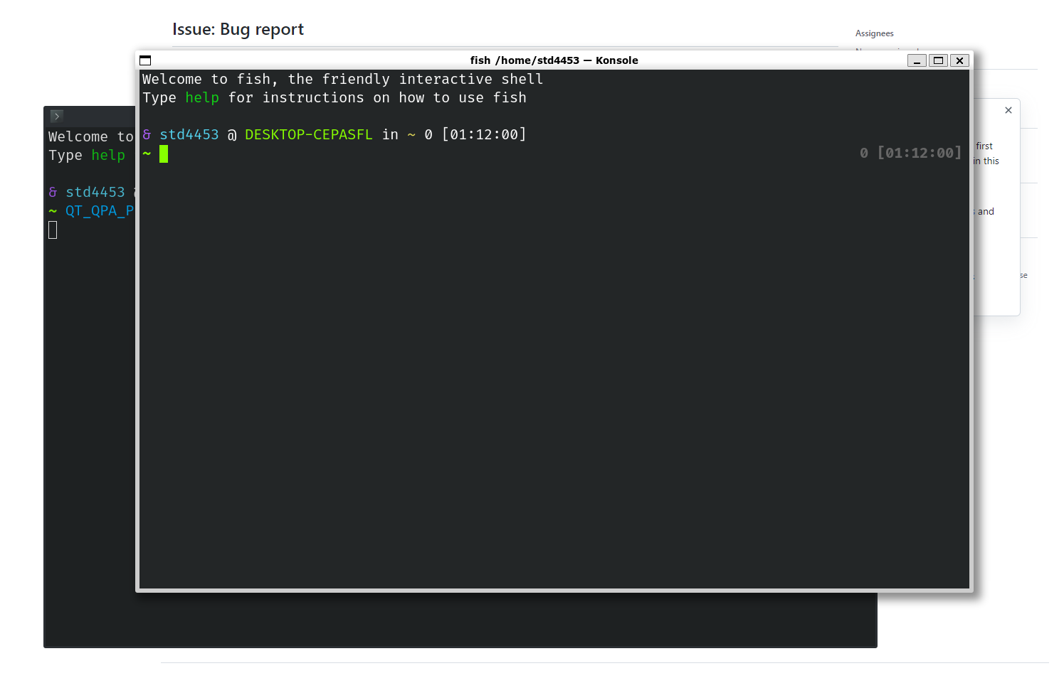 Qt applications with Wayland backend do not have shadows · Issue #618 · microsoft/wslg · GitHub