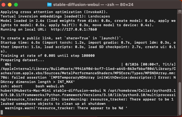 Bug Training Large Resolution Embeddings Resulting In The `errordarray Dimension Length