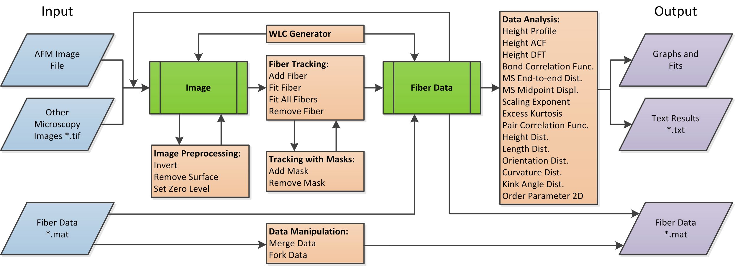 GitHub - ivan-usov/FiberApp: FiberApp is a software for tracking and analyzing biomacromolecules ...