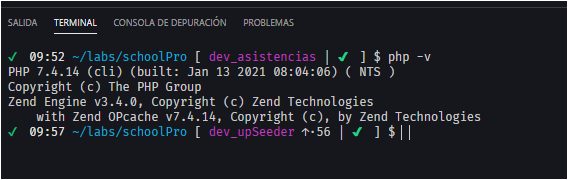 php artisan check:action_comments · Issue #89 · imanghafoori1/laravel-microscope · GitHub