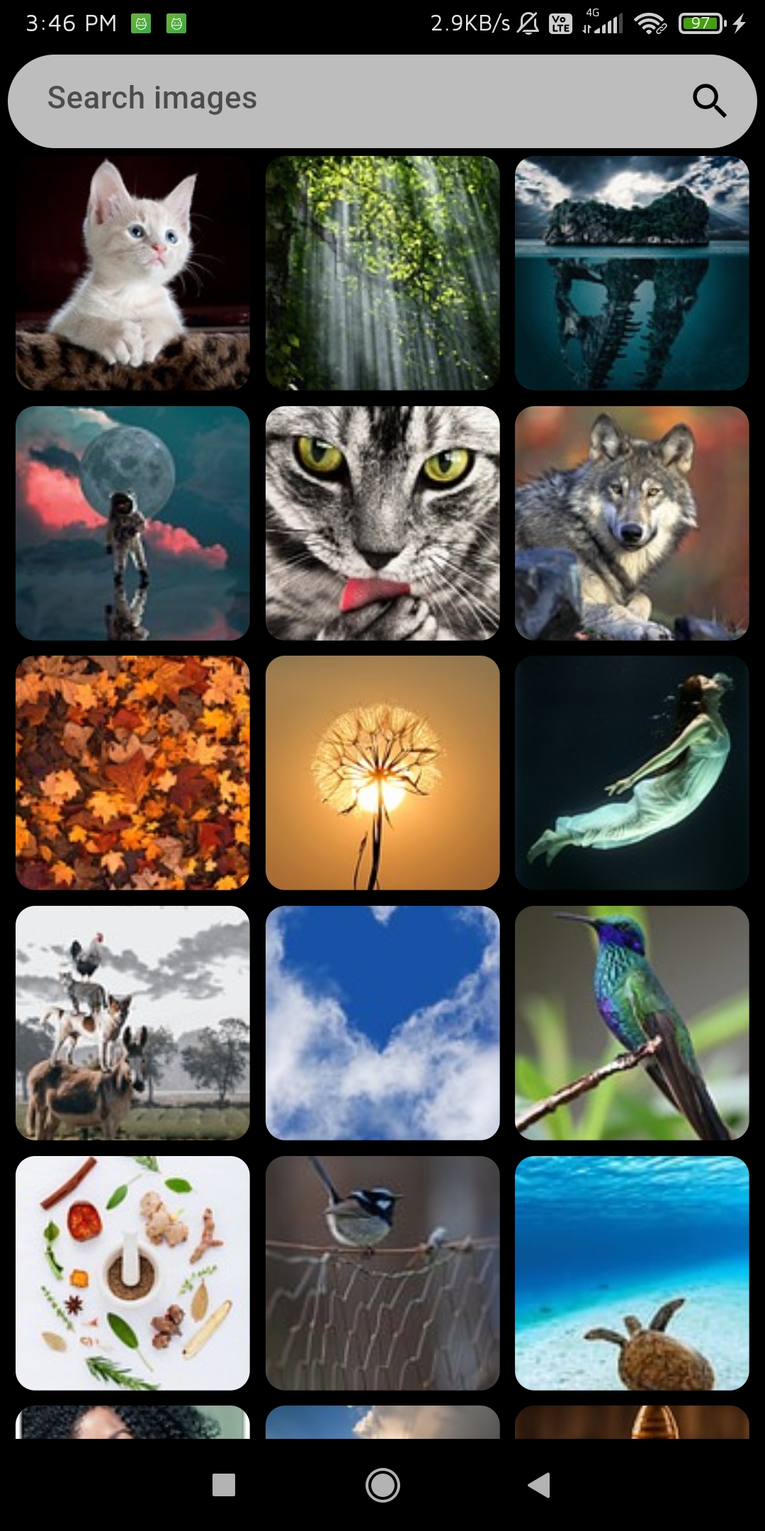 GitHub - swapnilpingale22/FabWalls: A beautiful flutter wallpapers app with search & download ...