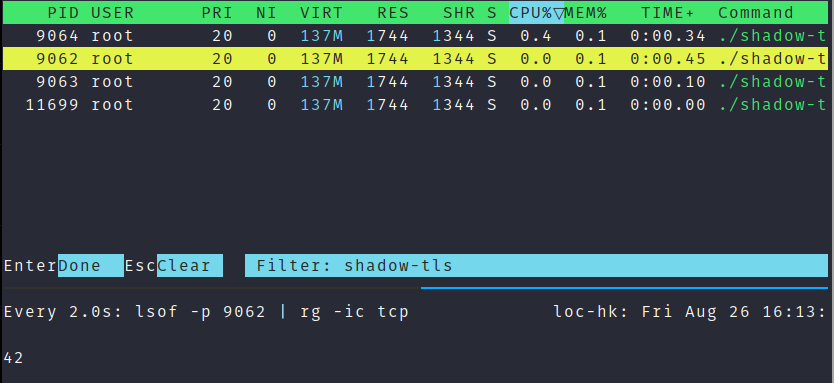 Won't close fd cause "Too many open files (os error 24)" · Issue #3 · ihciah/shadow-tls · GitHub