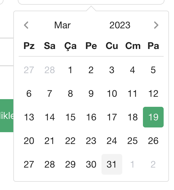 Enable Time Picker And Flow · Issue 615 · Vuepicvue Datepicker · Github