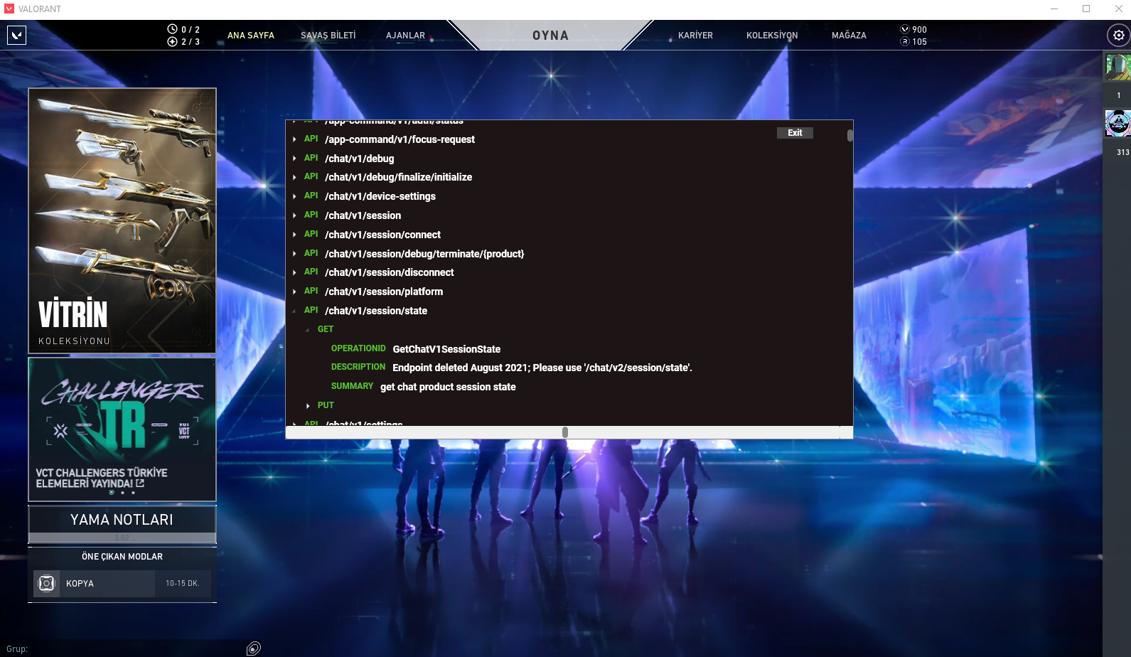 GitHub - berkpekatik/ValoExplorer: Valorant local Api-List grabber