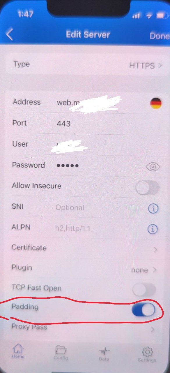 Android padding · Issue #566 · SagerNet/SagerNet · GitHub