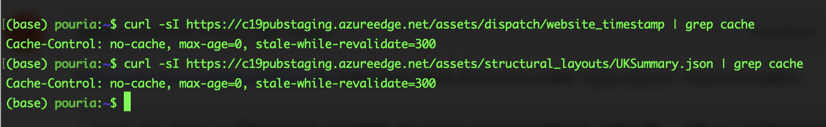 Invalid cache-control headers in v2 · Issue #198 · UKHSA-Internal/coronavirus-dashboard · GitHub