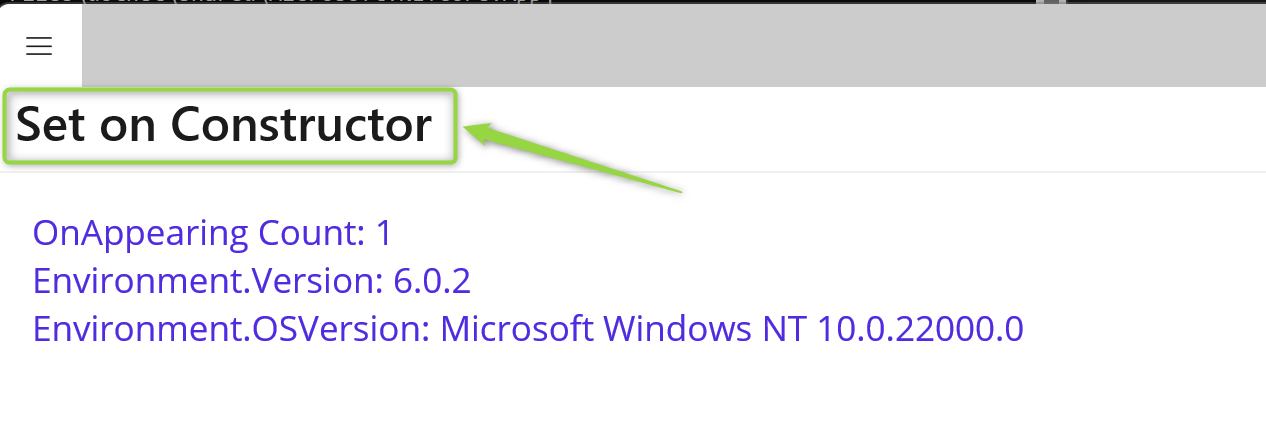 Set Page Title In Onappearing With Async Call · Issue 5419 · Dotnetmaui · Github