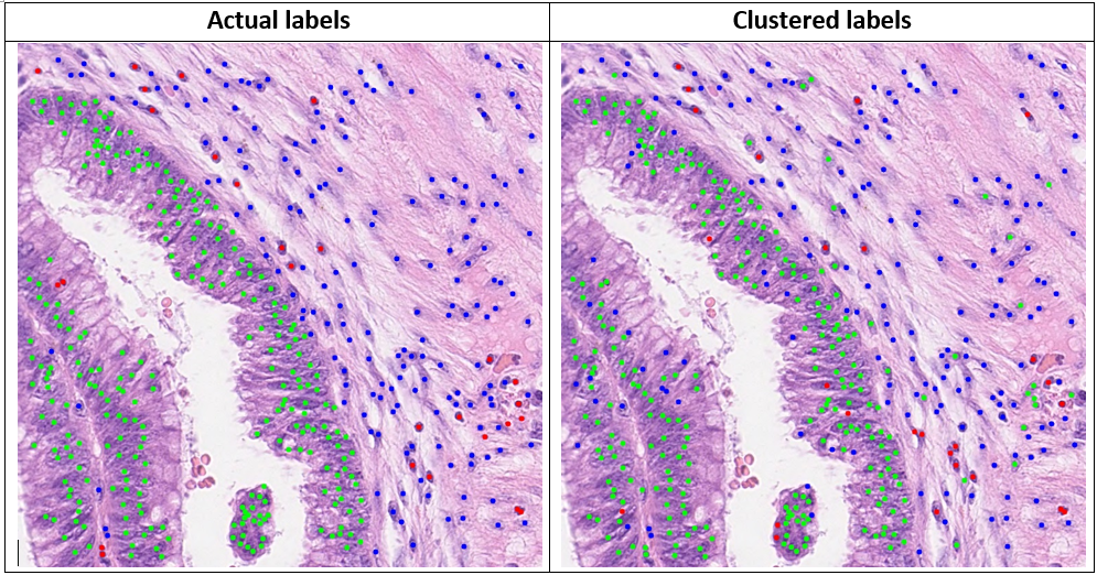 GitHub - AmirTabatabaei-git/CellCluster-FeaturesExtraction: Cell ...