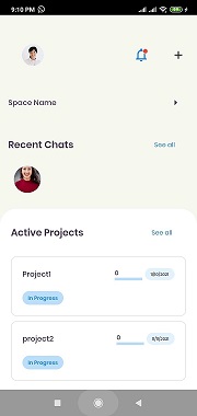 GitHub - Shayar-Hassan/Slark_v2: Flutter Mobile Application for project management, this ...