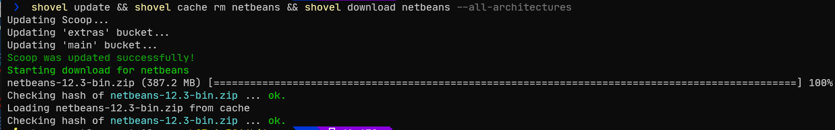 netbeans@12.3: download via aria2 failed · Issue #5896 · ScoopInstaller ...