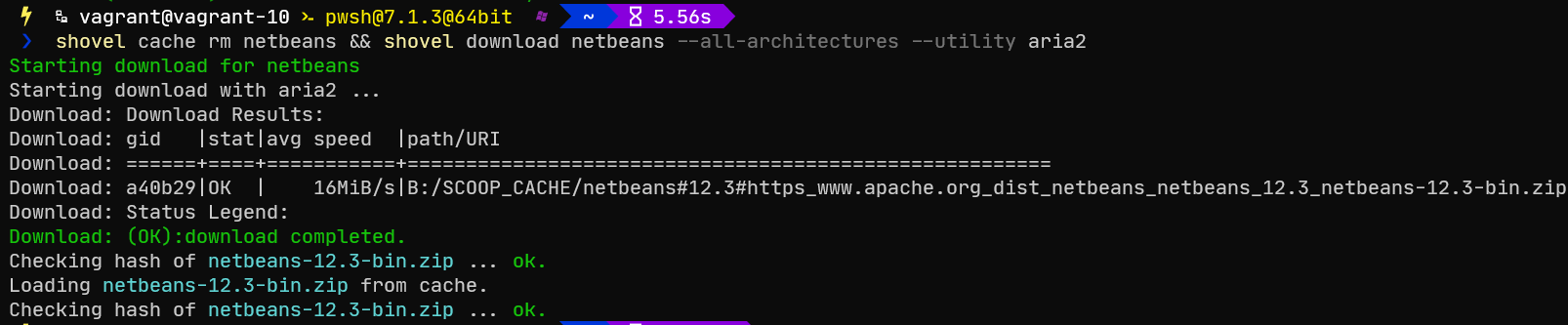 netbeans@12.3: download via aria2 failed · Issue #5896 · ScoopInstaller ...