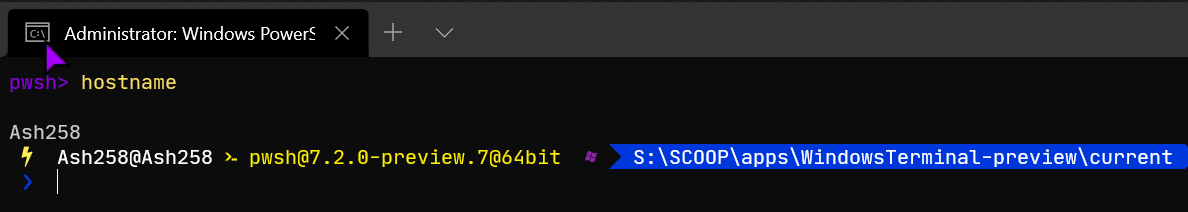 Transient prompt does not behave correctly when the prompt is too long ...