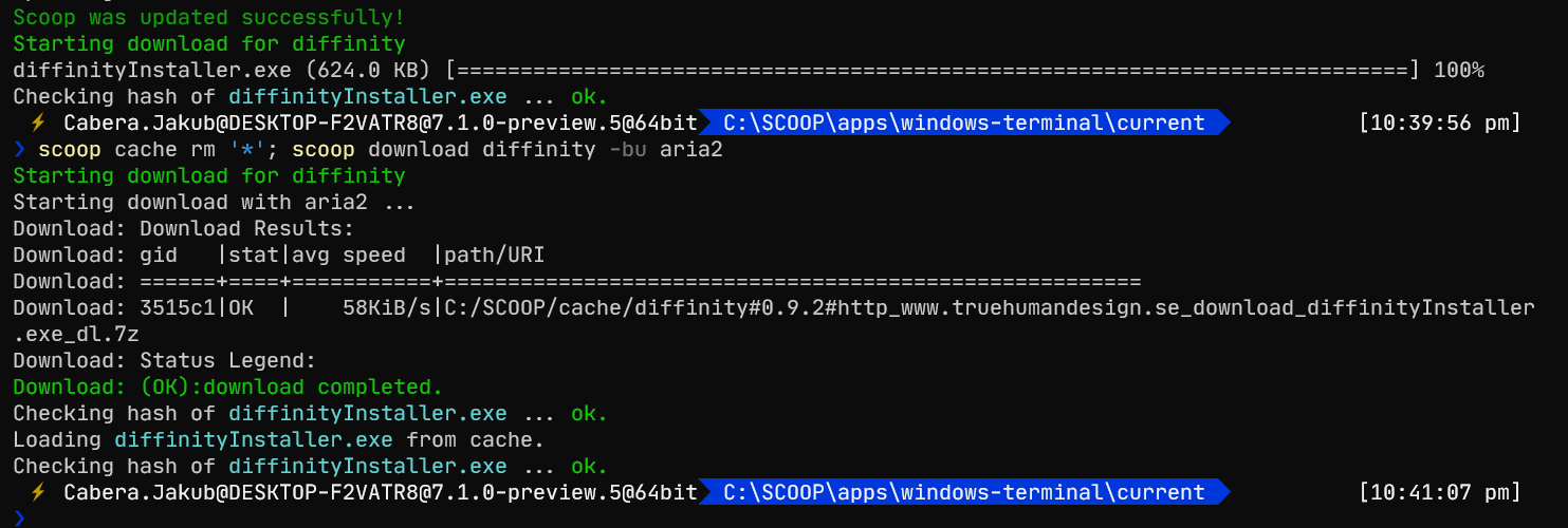 diffinity@0.9.2: download via aria2 failed · Issue #4476 · ScoopInstaller/Extras · GitHub