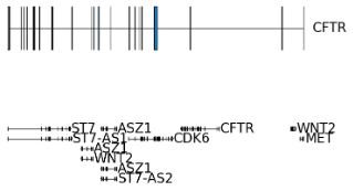 Highlight specific gene in gene track? · Issue #104 · deeptools ...