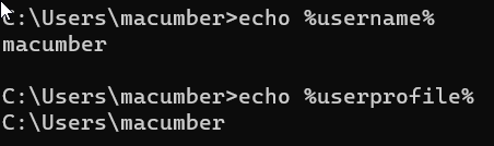 Windows 10: Application fails on launch on new computer with "D:\OSN\src\utilities\blc\Local.cpp ...