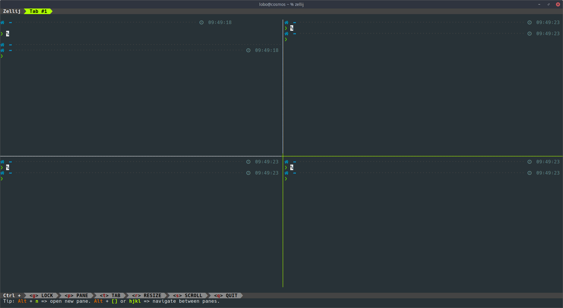 Glitches with Powerlevel10K Instant Prompt · Issue #337 · zellij-org ...