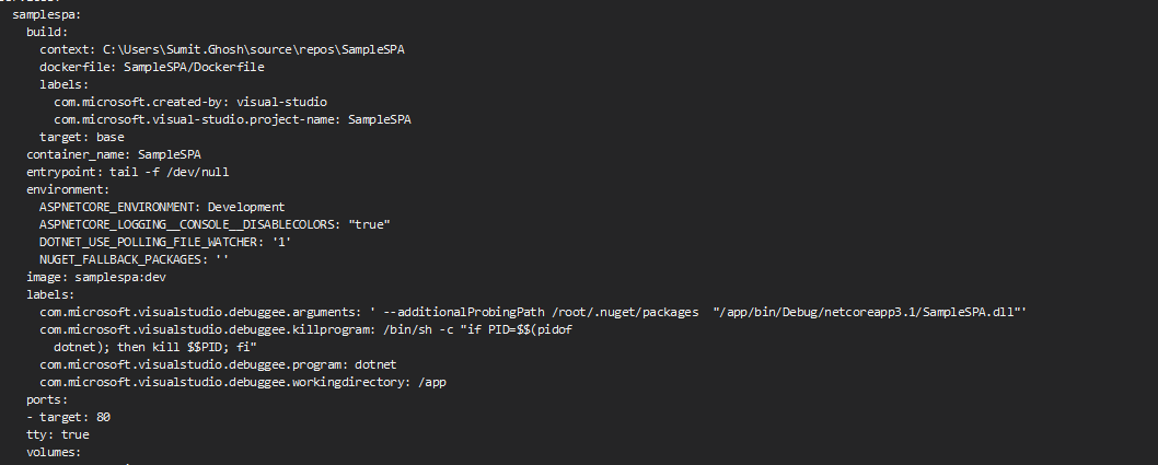 Can't run solution in Visual Studio debug mode · Issue #1383 · dotnet ...