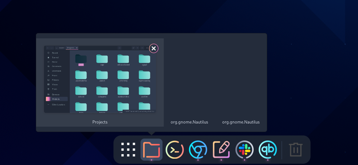 org.gnome.Nautilus windows appear in Nautilus windows preview · Issue #1644 · micheleg/dash-to ...