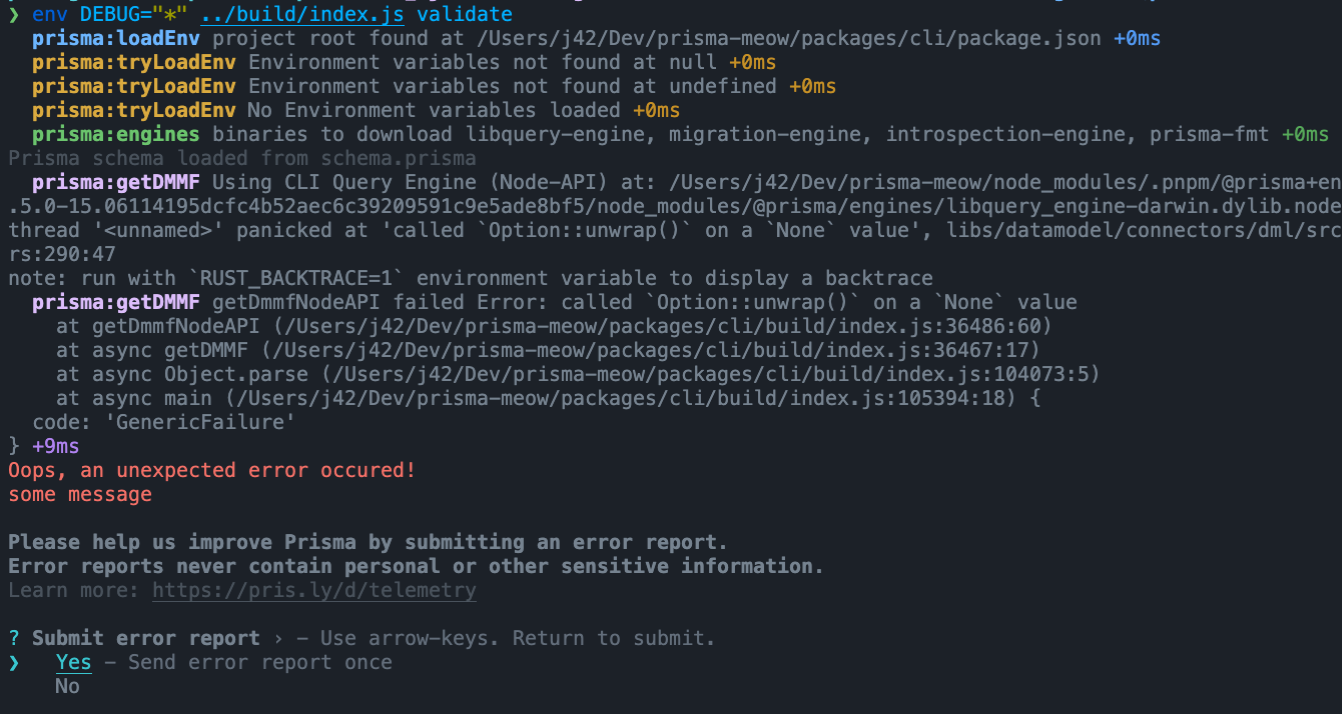 We should be able to handle a panic (trigger error reporting) if it comes from `getDMMF` · Issue ...