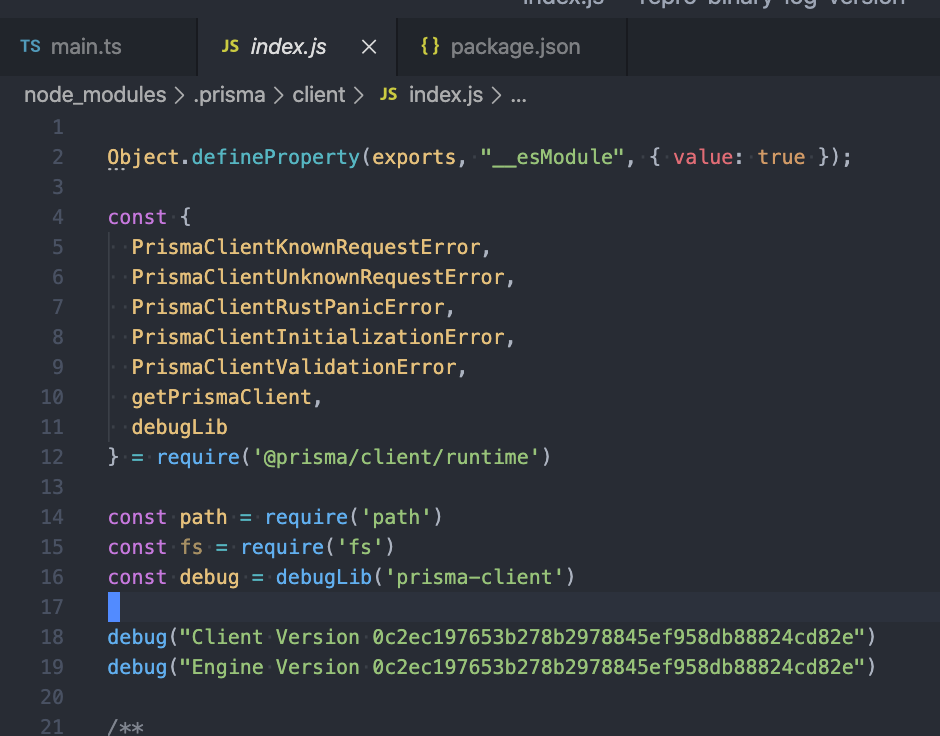 Client Engine Version Incorrect When Overriding Binary With Prisma Client Constructor · Issue 