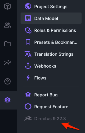 After update to 9.22.4, Directus show it's version as 9.22.3 · Issue ...
