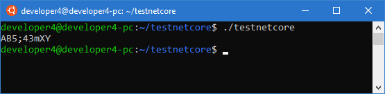 ANSI escape sequences (Console) don't work correctly in Linux Terminals ...