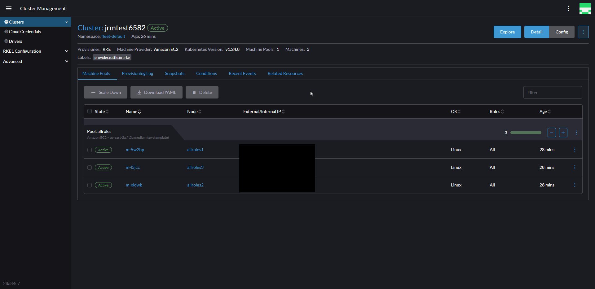 Using Edit Config -> Edit as YAML form for an RKE1 cluster with Agent Environment Variables ...