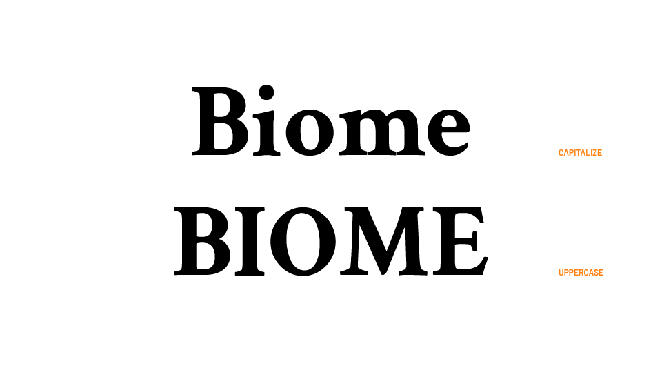 New Biome logo · biomejs biome · Discussion #141 · GitHub