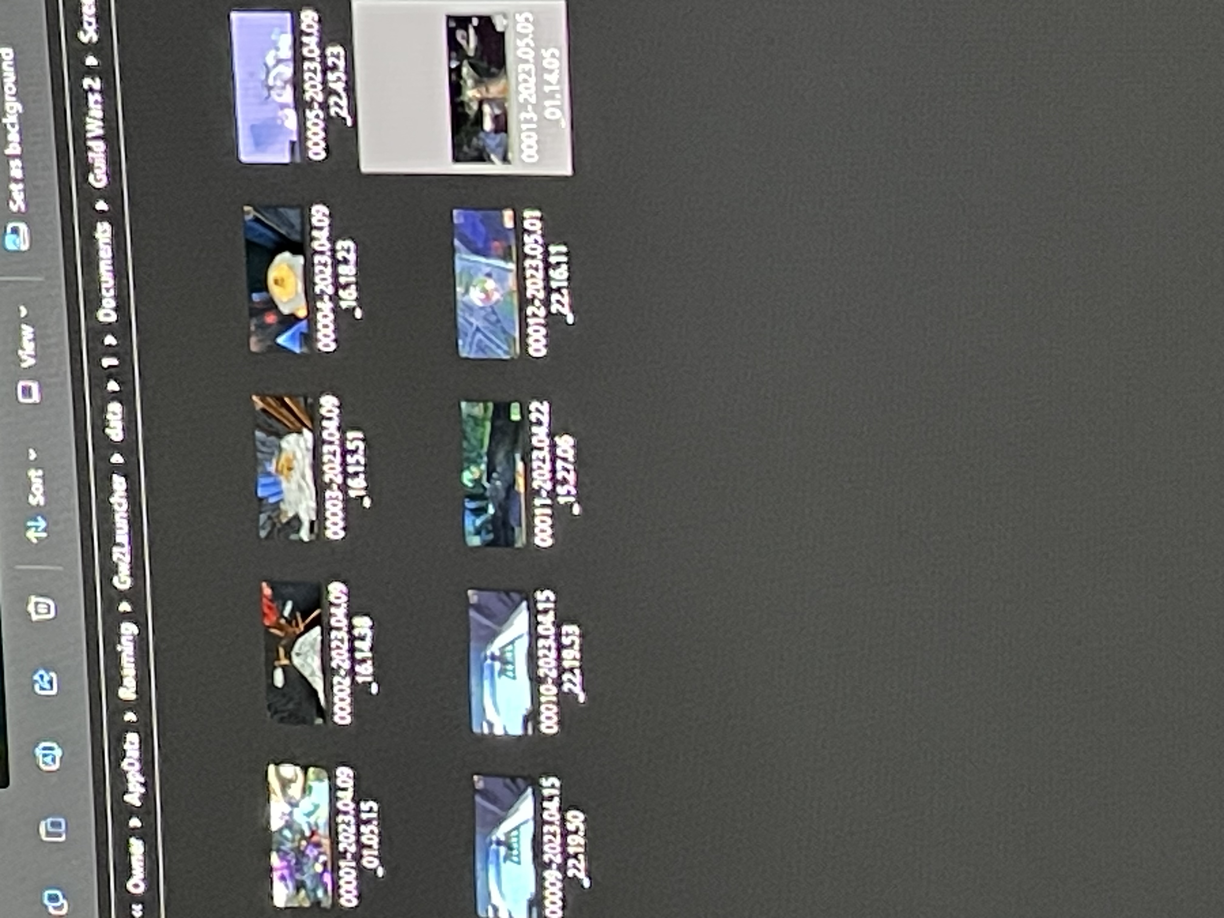 Screenshot Issues · Issue #312 · Healix/Gw2Launcher · GitHub