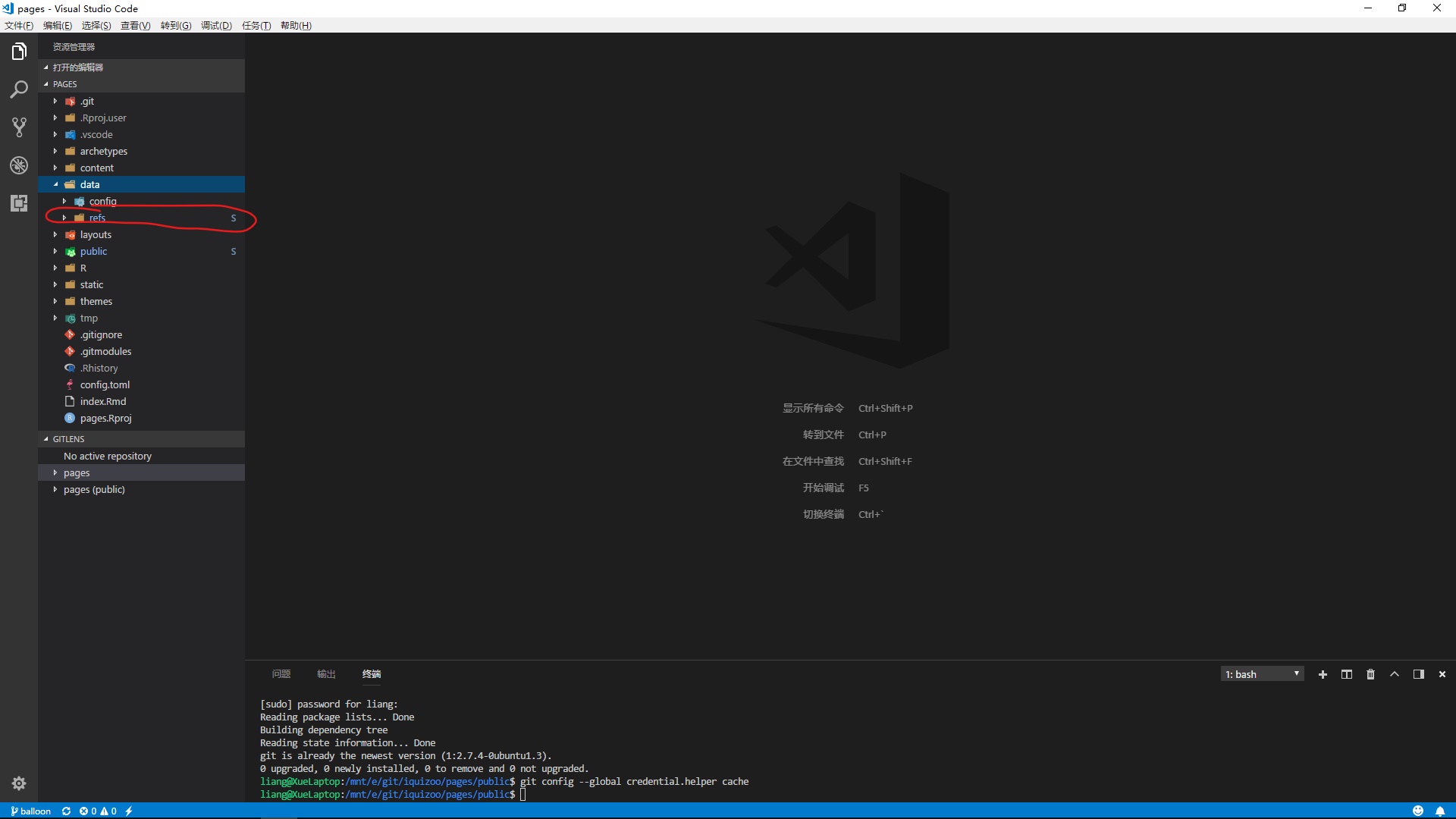 Submodules Not In The Root Directory Could Not Be Detected · Issue 332 · Gitkraken Vscode