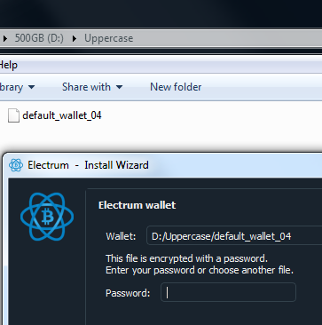 Electrum fails to open wallet file from a Cryptomator volume with capital letter in the path ...