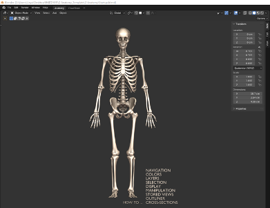 GitHub - RuanLinya/Webcam-based-Magic-Mirror