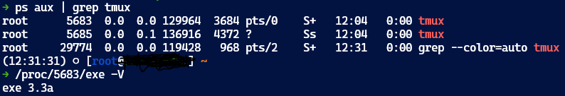 improvement of version output · Issue #3524 · tmux/tmux · GitHub