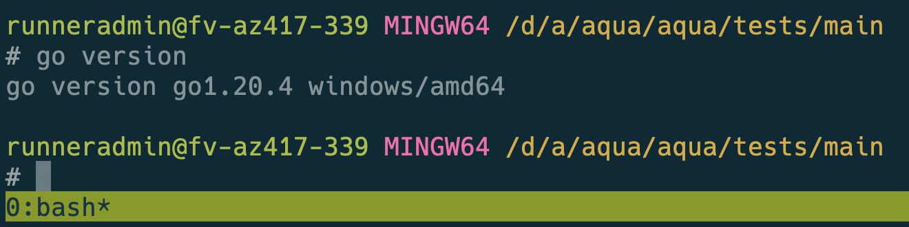Support creating a debug environment quickly · Issue #1920 · aquaproj/aqua · GitHub