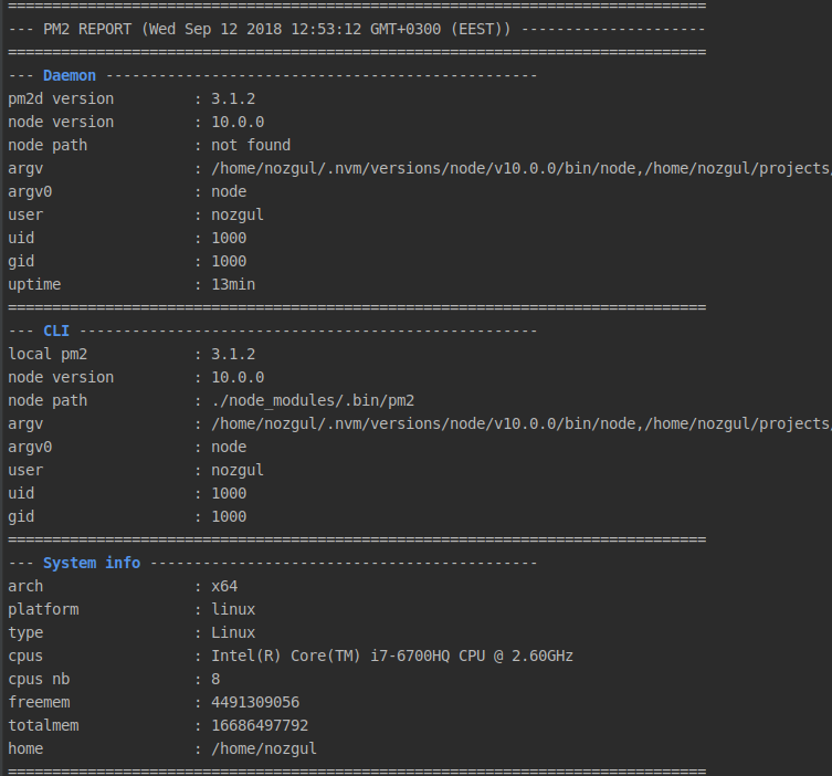 Instances not working · Issue #3908 · Unitech/pm2 · GitHub